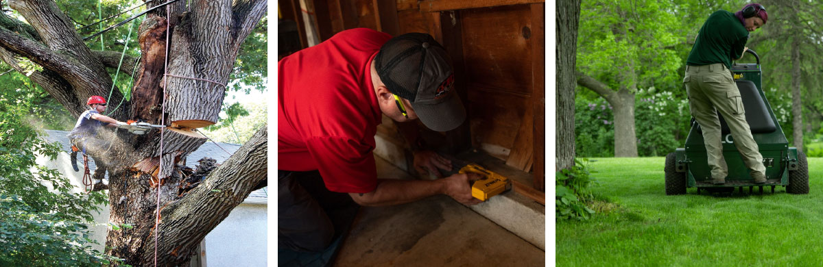 Brands | Rainbow Companies