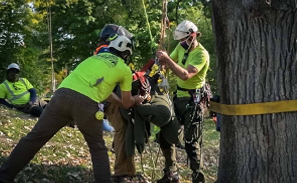 Careers at Rainbow Treecare | Rainbow Companies