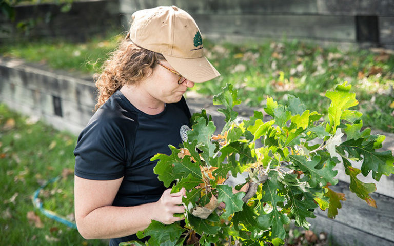 Careers at Rainbow Ecoscience | Rainbow Companies