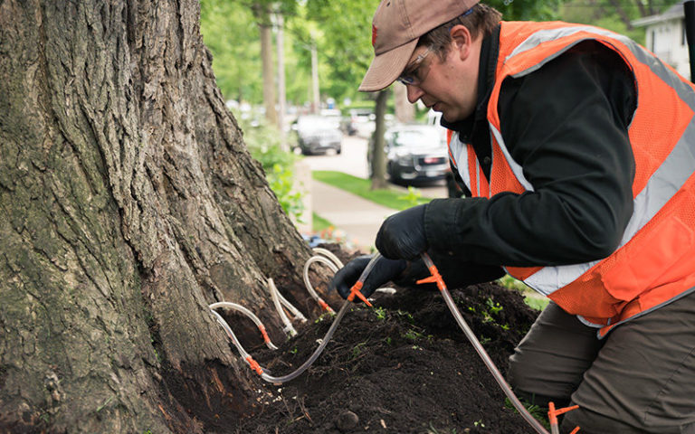 Careers at Rainbow Ecoscience | Rainbow Companies