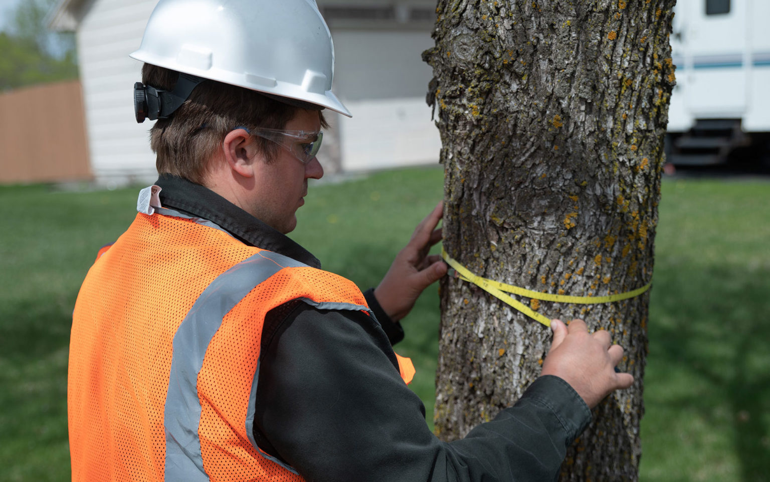 Careers at Rainbow Treecare | Rainbow Companies