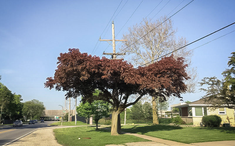 Careers at Growth Solutions | Rainbow Companies